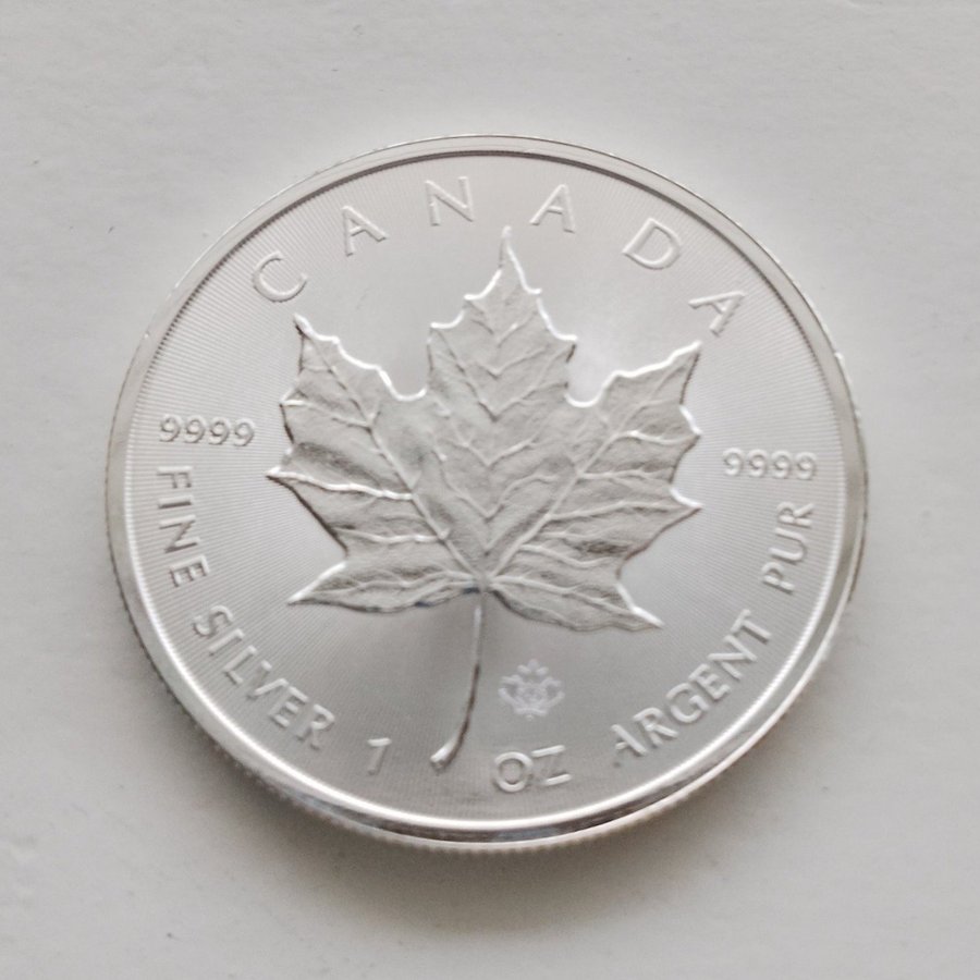 25 st 1 oz Kanadensiska Silver Maple Leaf | Köp på Tradera (713952558)