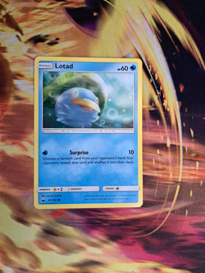Lotad Common 36/168 Celestial Storm Pokemon Tra.. | Köp på Tradera ...