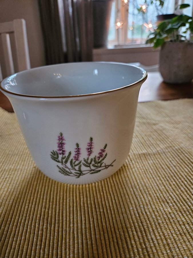 Hackefors Kruka - Ljung Calluna Vulgaris | Köp på Tradera (709383125)