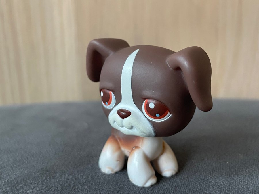 Hasbro LPS, Boxer dog #287, Littlest pet shop | Köp på Tradera (697156454)