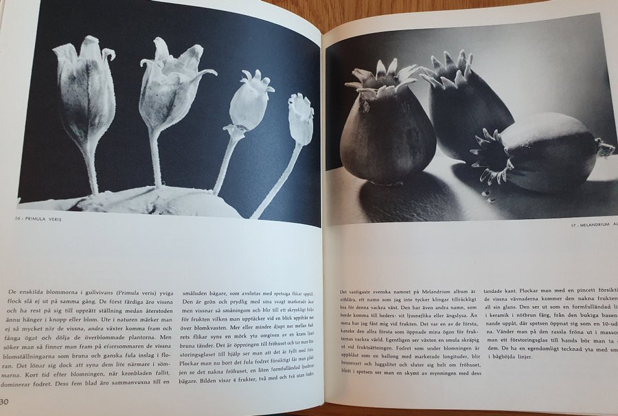 Se produkter som liknar Naturen som formgivare: en bo.. på Tradera ...