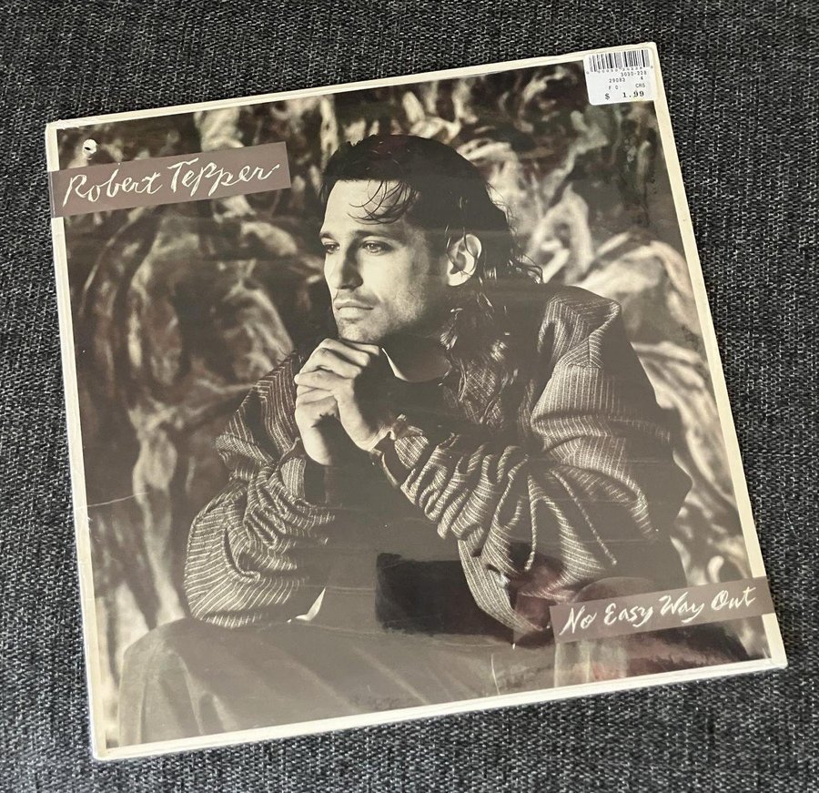 Robert Tepper - No Easy Way Out (LP) AOR oöppna.. | Köp på Tradera ...