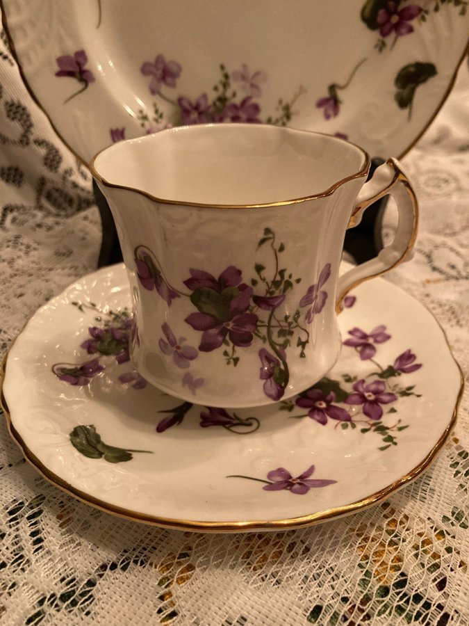 Victorian violets Hammersley kaffekopp med assi.. | Köp på Tradera ...