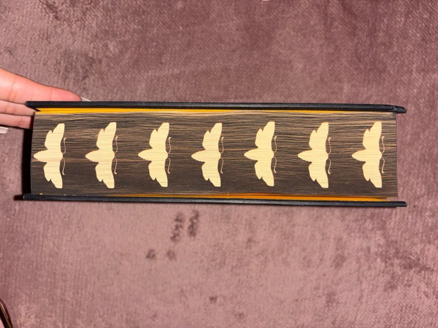 Chain of Iron fairyloot special edition | Köp på Tradera (711950790)