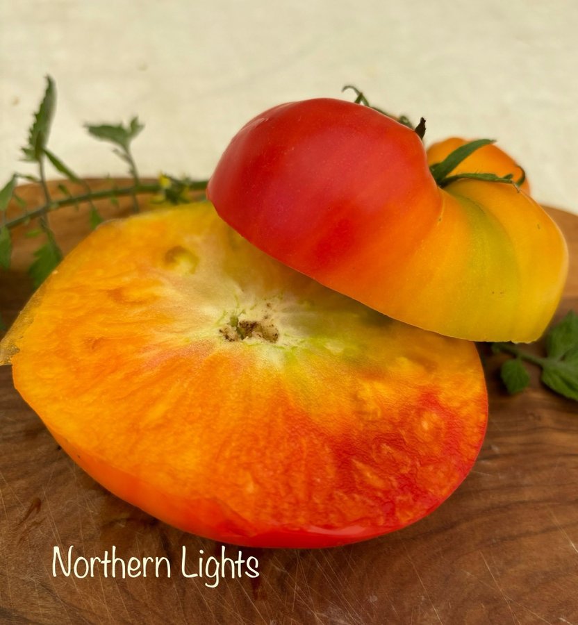 Northern Lights 10 Tomatfrön | Köp på Tradera (711329266)