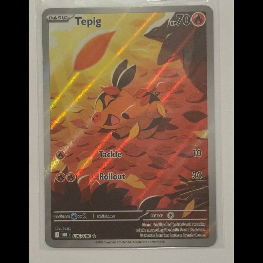 Tepig Full art - 096/086 Illustration rare | Köp på Tradera (698482368)