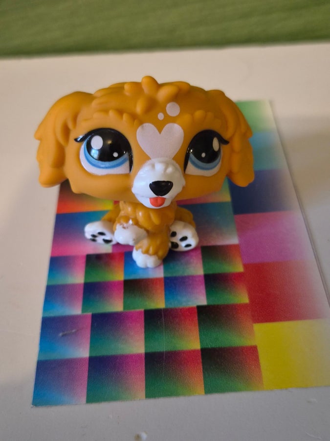 LPS Littlest Pet Shop #2210 Cocker Spaniel Hund | Köp på Tradera ...