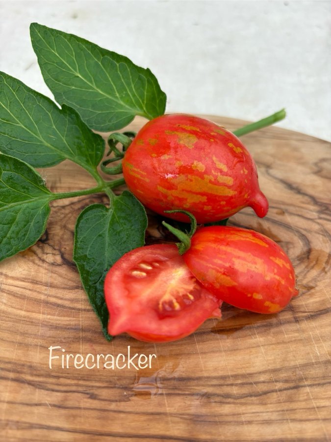 Firecracker 10 Tomatfrön ampeltomat | Köp på Tradera (711324361)