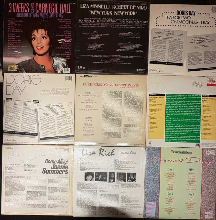 Samling av Diverse Artister - Liza Minnelli, Do.. | Köp på Tradera ...
