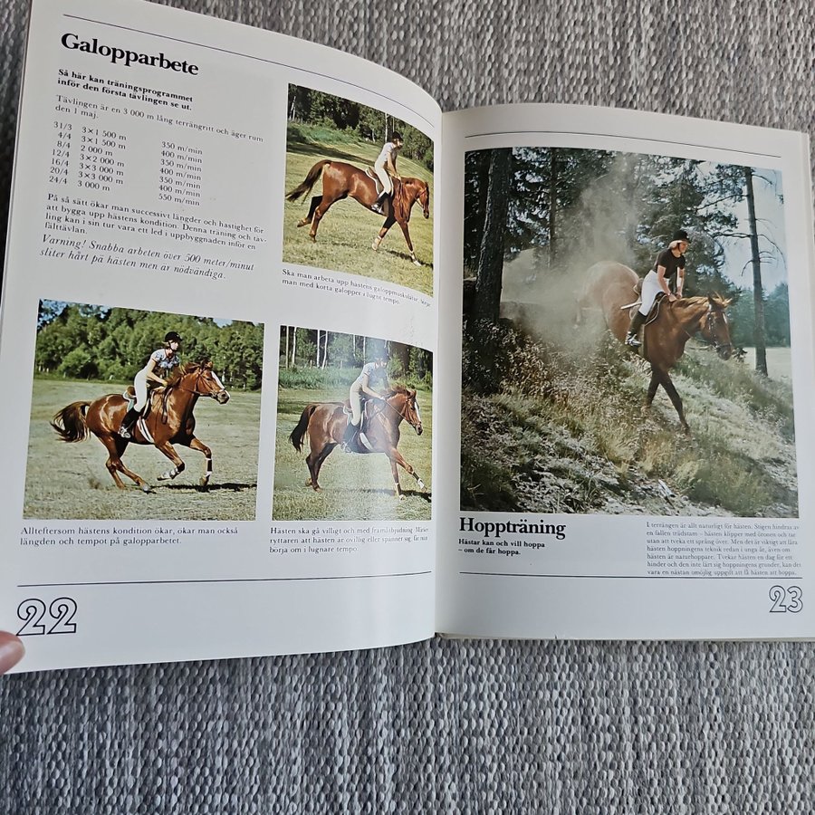 Ha roligt med din häst av Petrus Kastman, 1975 | Köp på Tradera (704243324)