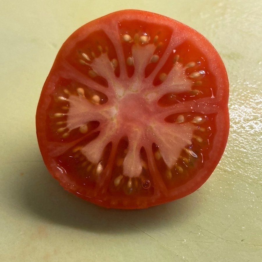 34: Tomatfrön 8 st - Marmande VR - biff tomater.. | Köp på Tradera (703355772)