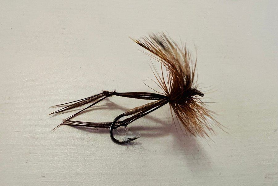 Daddy Long Legs #10 6pack torrfluga – för öring.. | Köp på Tradera ...