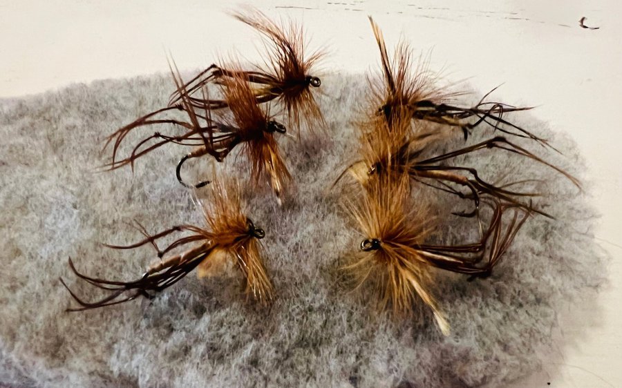 Daddy Long Legs #10 6pack torrfluga – för öring.. | Köp på Tradera ...