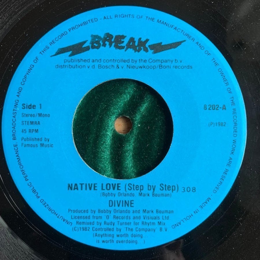 Divine - Native Love (Step by Step) 7" Singel | Köp på Tradera (721763164)