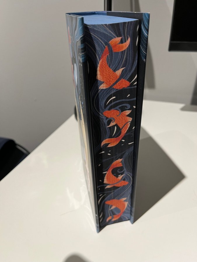 The Girl With No Reflection av Keshe Chow - Fai.. | Köp på Tradera ...