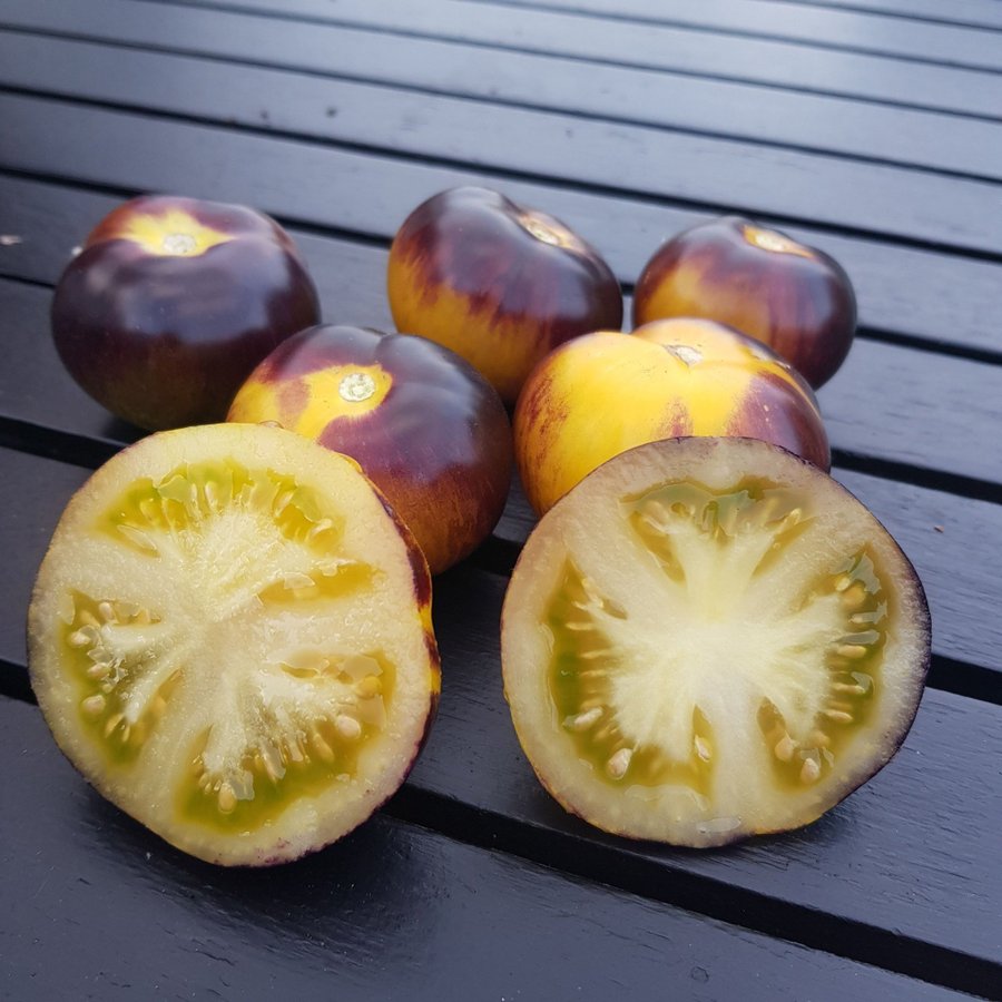 Tomatfrön - USSURI TIGER, 5st ekologiska och fe.. | Köp på Tradera ...