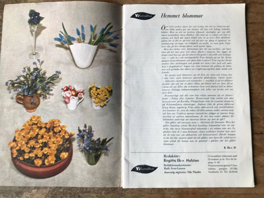 Vi i husmödrar: hemmet blommar, Birgitta Ekströ.. | Köp på Tradera ...