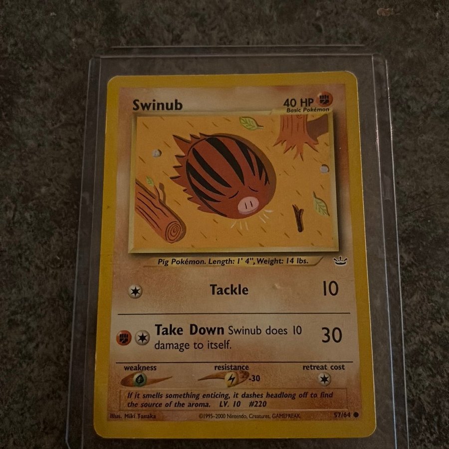 Swinub Pokémonkort | Köp på Tradera (712251970)
