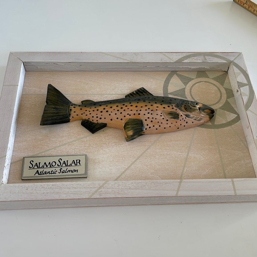 SalmoSalar Atlantic Salmon Tavla. | Köp på Tradera (736833328)