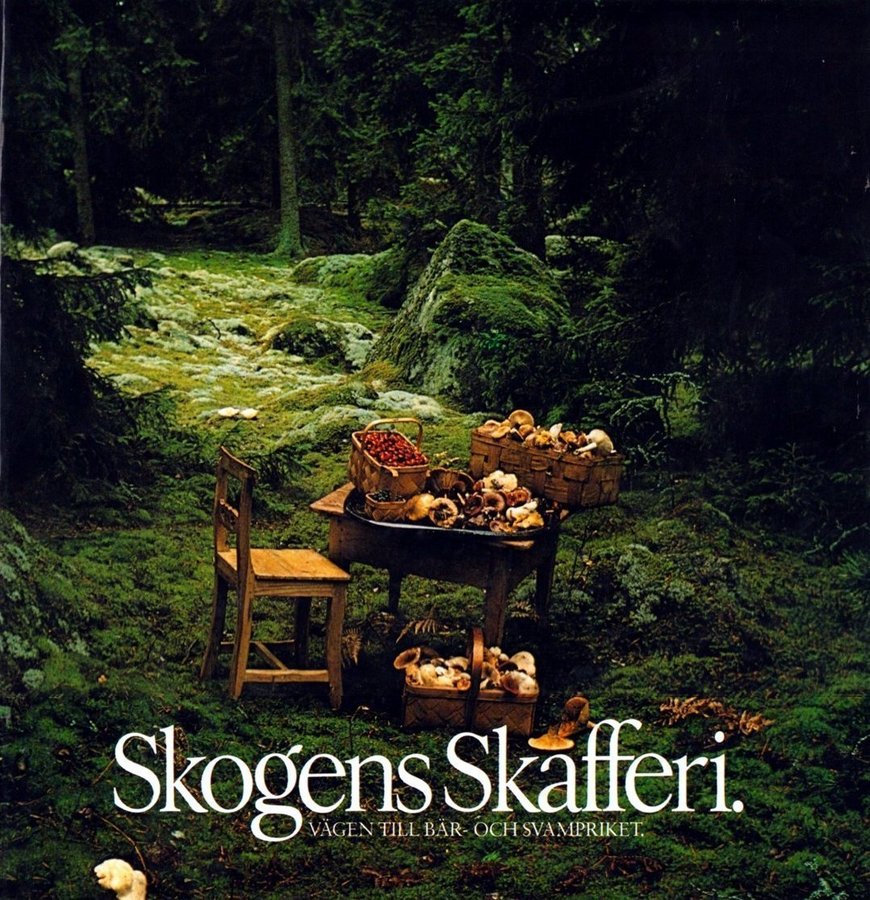 Se produkter som liknar Skogens skafferi - vägen till.. på Tradera (622847972)