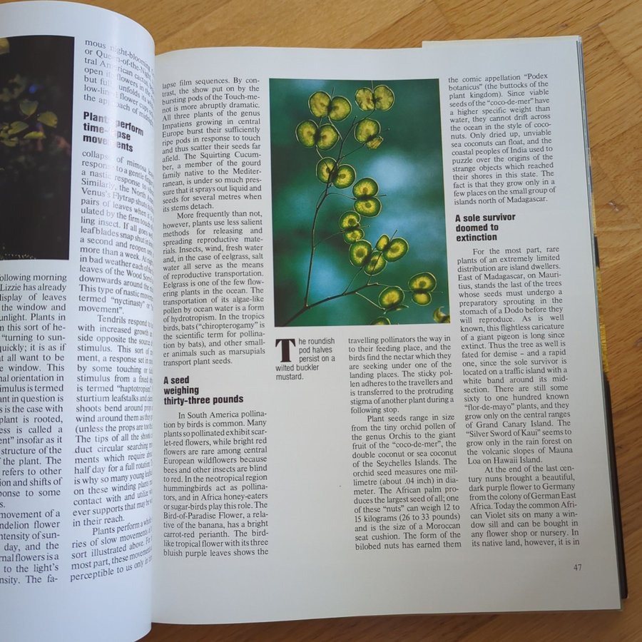 Masterpieces of Creation, WWF, 1988 | Köp på Tradera (711683665)