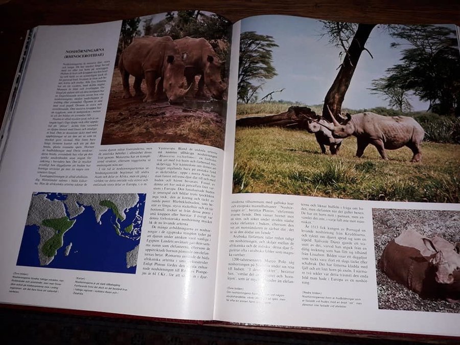 Djurens liv i färg Från 80 - talet Däggdjur Ban.. | Köp på Tradera (332472624)