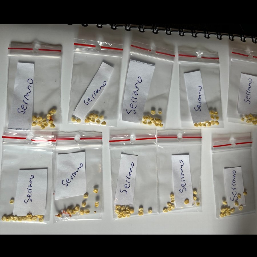 Ekologiskt Chilipeppar 'Serrano' ca 10 st frön | Köp på Tradera (714002645)