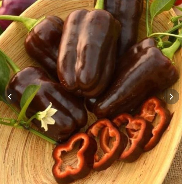 Söt rött choklad paprika "Chocolate Cake" 4 frö | Köp på Tradera ...