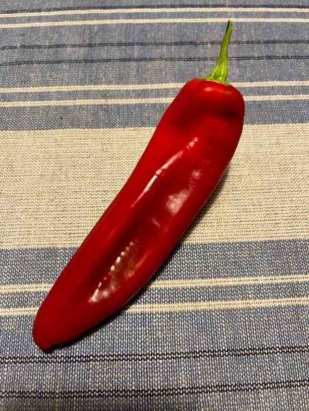 Se produkter som liknar PAPRIKA RÖD SPETSPAPRIKA LÅNG.. på Tradera ...