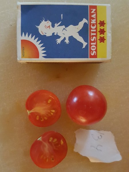 Se produkter som liknar Frö tomat Tiny Tim –så året o.. på Tradera ...