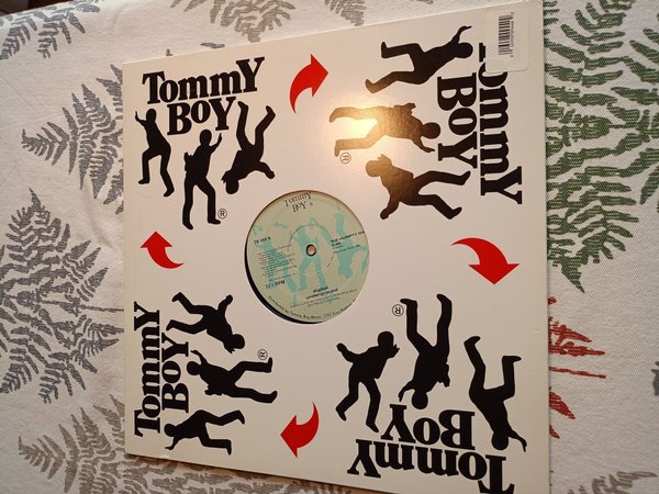 Digital Underground- The Humpty Dance 12" Vinyl | Köp på Tradera ...