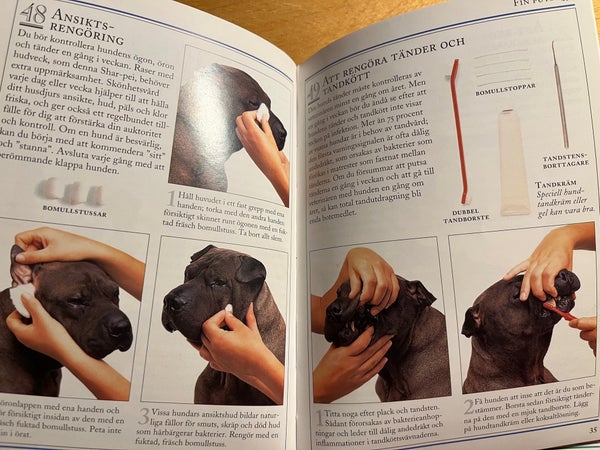101 GODA RÅD Hur man tar hand om en Hund | Köp på Tradera (736885091)